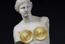Bitcoin bitcoin
