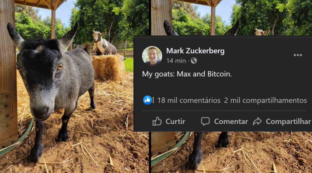Zuck-Max-Bitcoin_11zon - Siam Blockchain