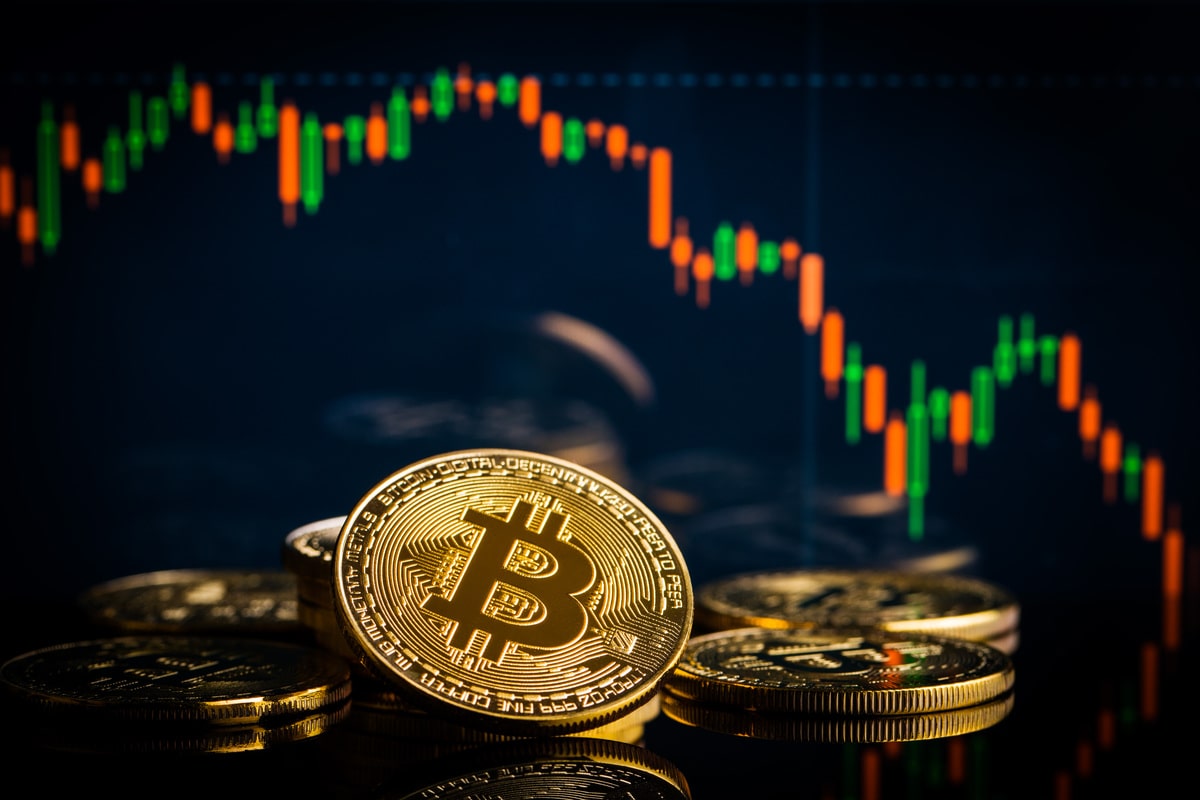 ARK Invest มองพื้นฐาน Bitcoin ยังแข็งแกร่ง น่าลงทุน แม้กราฟจะแดงเถือกก็ ...