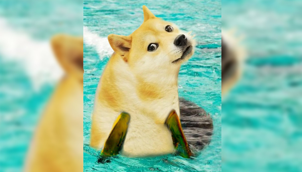 ข้อมูลเผย เหรียญ Dogecoin เกือบทั้งหมดถูกถือไว้โดยกลุ่มคนเพียง 0.01% ...