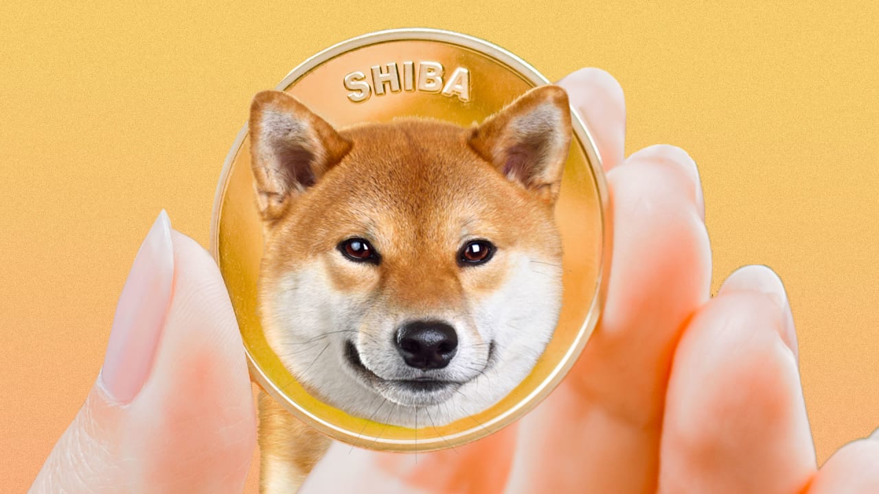 บริษัทด้านการดูแลสุขภาพในแคนาดาประกาศเพิ่ม Shiba Inu (SHIB) ลงในงบดุล ...