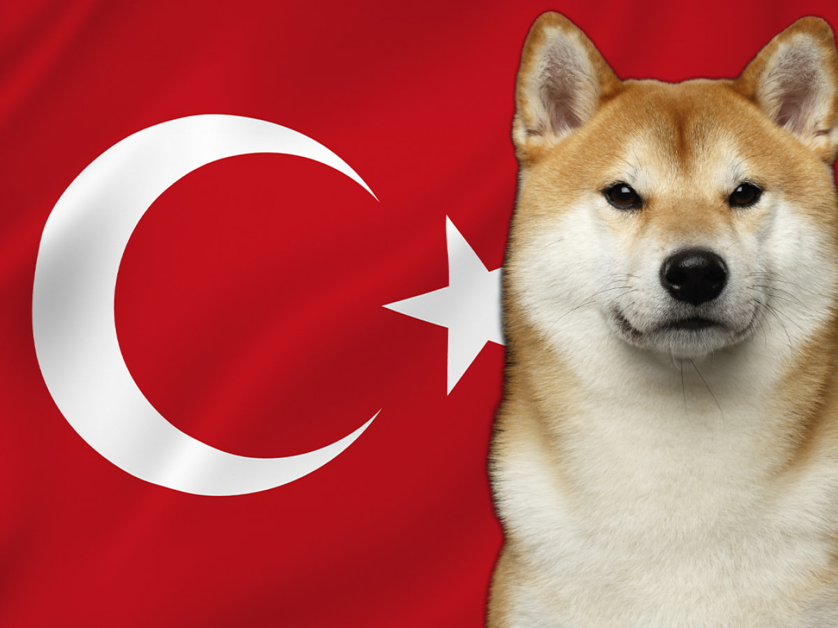 สาวกเหรียญ Shiba เตรียมเฮ ! บริการรถฉุกเฉิน ยอมรับการชำระเงินด้วยเหรียญ ...