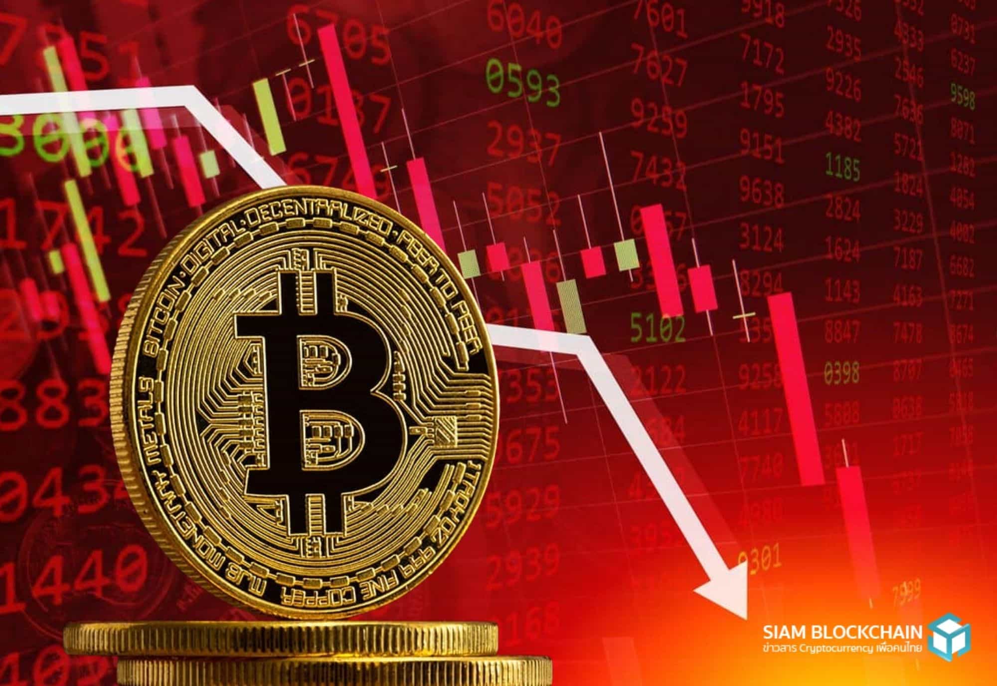 ราคา Bitcoin ร่วงทะลุ 40,000 ดอลลาร์อย่างรุนแรง ตลาดหมีกลับมาหลอกหลอน ...