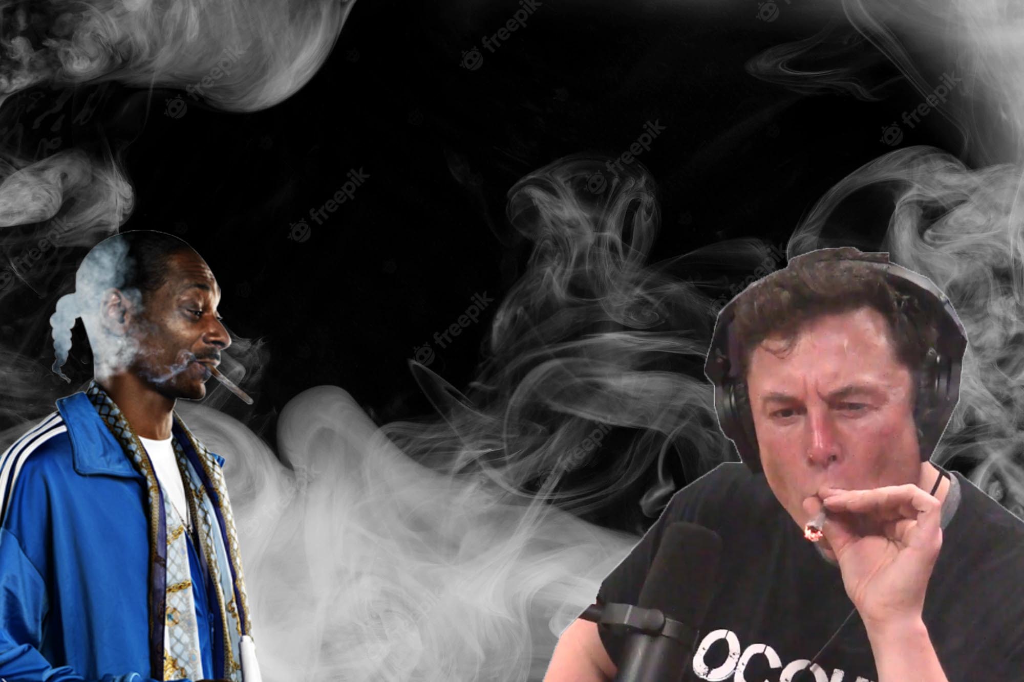 แร็ปเปอร์ในตำนาน Snoop Dogg กล่าวกับ Elon Musk ว่าต้องการซื้อ Twitter ...