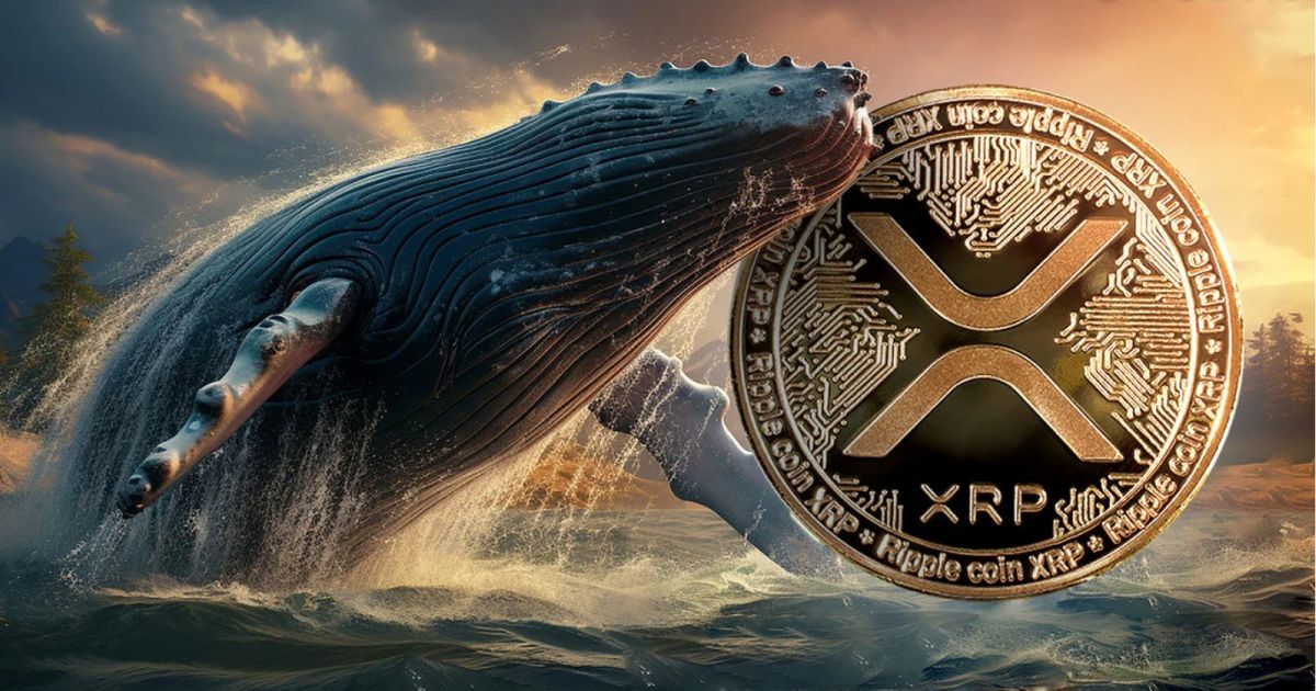 เจ้ามือรายใหญ่ XRP ย้ายโทเค็นจำนวนกว่า 70 ล้านเหรียญ ควรเป็นกังวลกับเรื่องนี้หรือไม่? - Siam ...