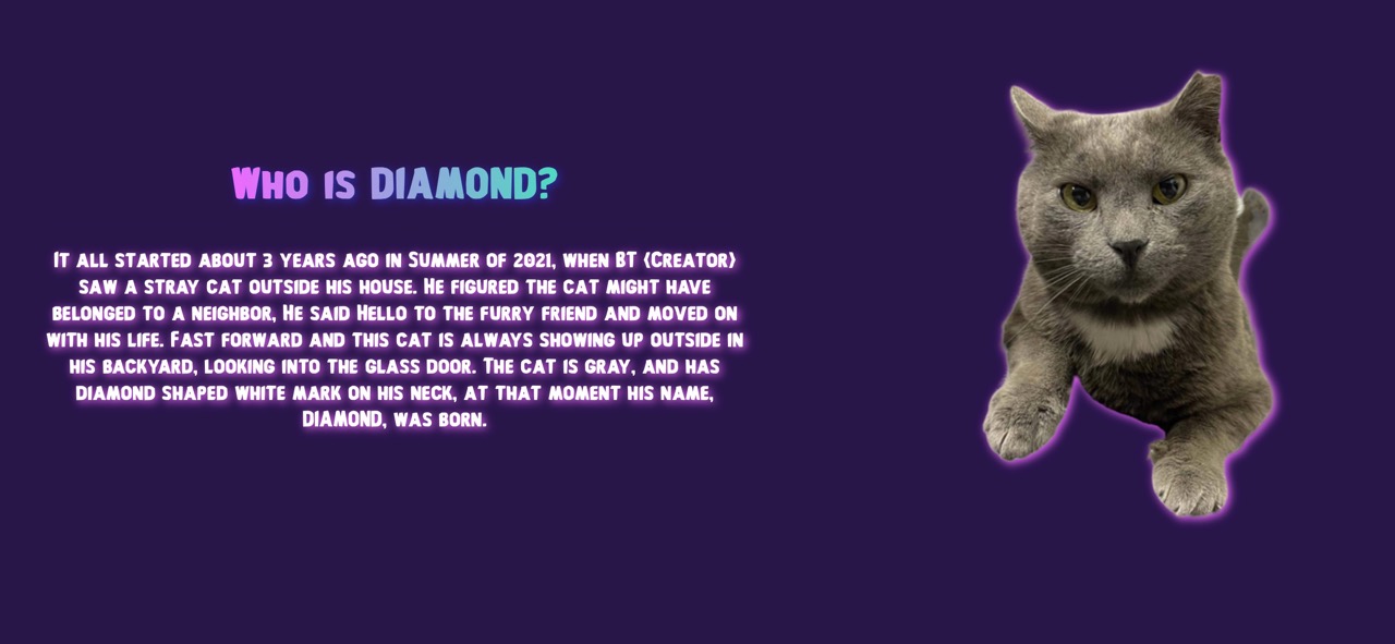 DIAMOND The Cat Coin (DMTC) โปรเจคเหรียญมีมคนไทยสำหรับทาสแมว - Siam ...