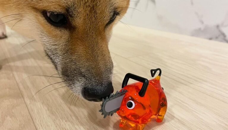 woof - Siam Blockchain