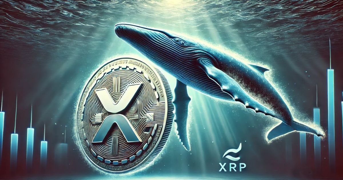 ควรกังวลการเทขายไหม ? หลังเจ้ามือโอน XRP กว่า 80 ล้านเหรียญเข้า Binance ...