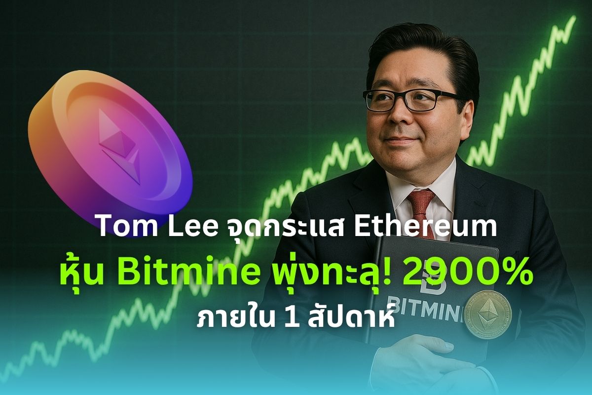 Tom Lee ทุ่ม 250 ล้านดอลลาร์สร้างคลัง Ethereum ดันหุ้น Bitmine พุ่งกว่า ...
