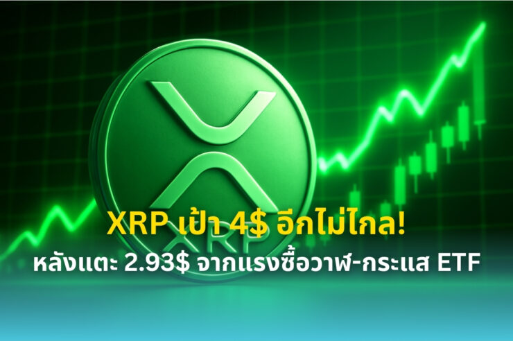 XRP พุ่งแตะ $2.93 จากแรงซื้อวาฬ-กระแส ETF หนุน นักวิเคราะห์มองเป้าทะลุ $4 ไม่ไกล - Siam Blockchain