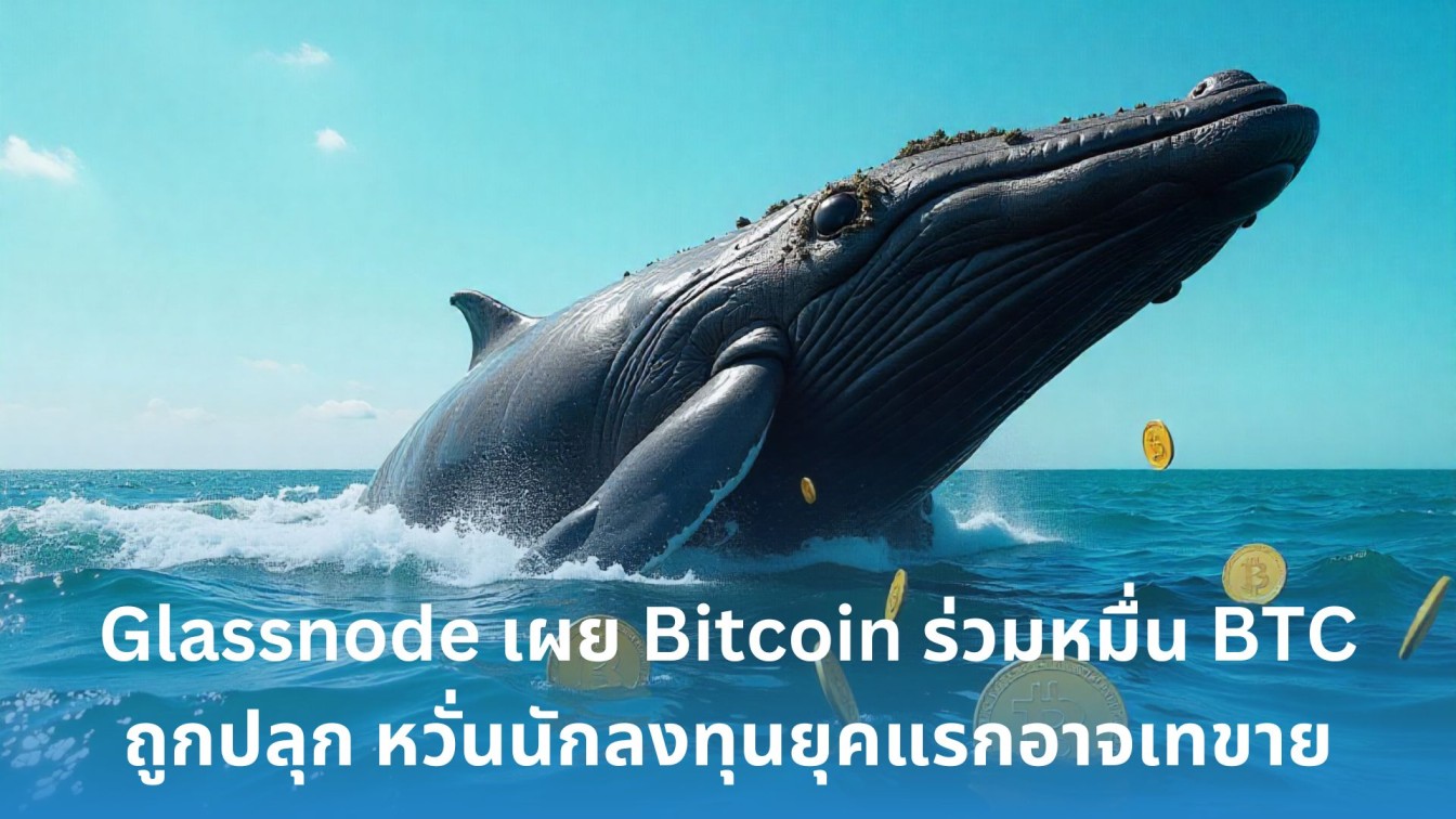 Bitcoin เสี่ยงปรับฐาน! Glassnode เผย Bitcoin ร่วมหมื่น BTC ถูกปลุก หวั่นนักลงทุนยุคแรกอาจเทขาย ...