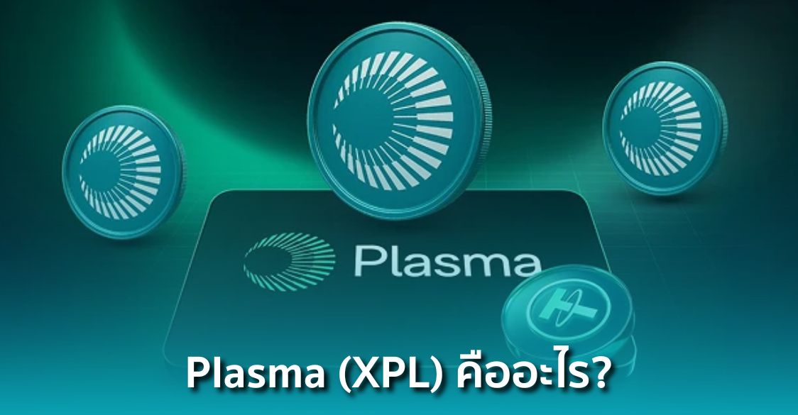 Plasma (XPL) คืออะไร? รู้จักบล็อกเชน Layer 1 สุดล้ำที่โอน USDT ฟรี และ ...