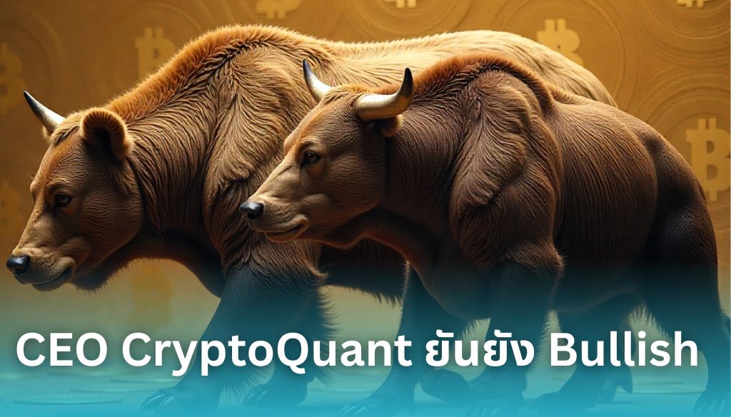CEO CryptoQuant ชี้ขาด Bitcoin ยังอยู่ในตลาดกระทิง ตราบใดที่เงินทุนยัง ...