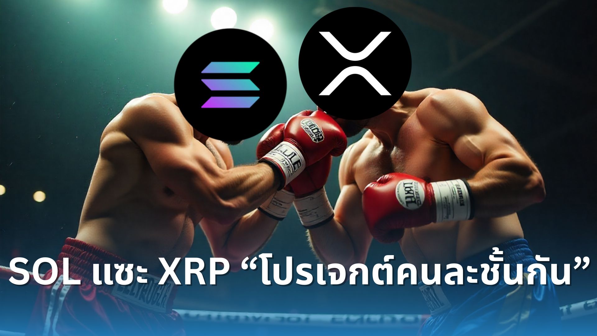 solana-slam-on-ripple-we-are-not-the-same-level (1) - Siam Blockchain